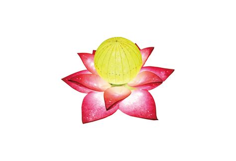 꿈꾸는 연꽃등어린이회 연등축제 한마음선원