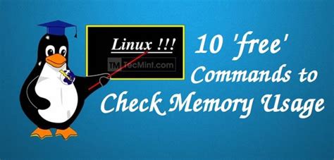 Free Commands To Check Memory Usage In Linux