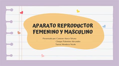 Aparato Reproductor Femenino Y Masculino Silvana Centeno A Udocz