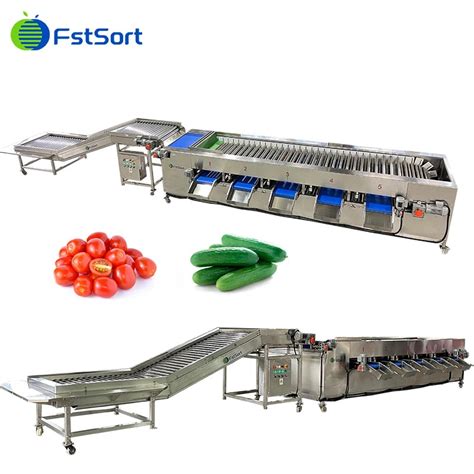 Cherry Tomato Sorting Grading Machine Cucumber Gherkin Processing Line Cherry Pepper Size Grader