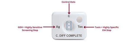 A Complete Stand Alone 2 Step C Difficile Algorithm In One Test Techlab Inc
