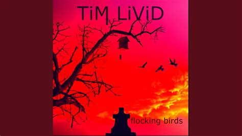 Flocking Birds Youtube