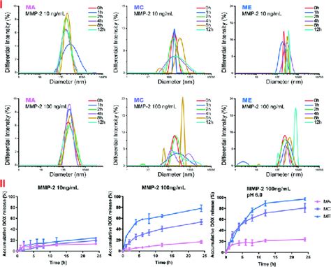 I Distribution Of Micelle Dls Size Over Time At Different Mmp 2 Download Scientific Diagram