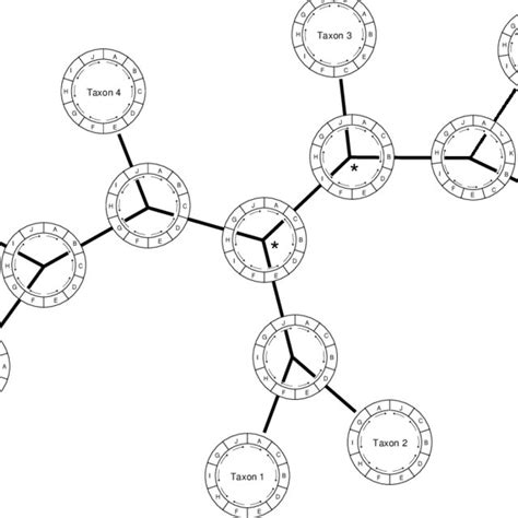 One Of The Two Equally Parsimonious Reconstruction Of Ancestral States Download Scientific