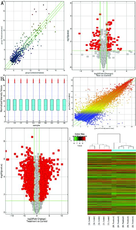 Bioinformatics Analysis Of Differentially Expressed Circrnas And Mrnas