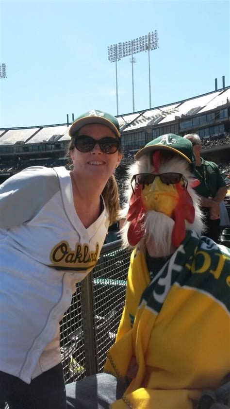 Robin Sexton Sextonrobin Twitter