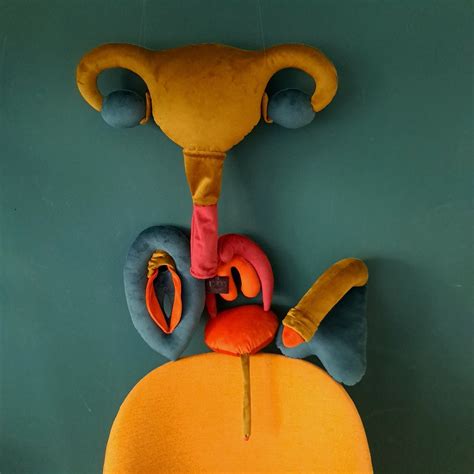 Sex Education Set Sex Therapy Tools Vulva 2 0 Clitoris Uterus Bladder And Penis Pillow Set