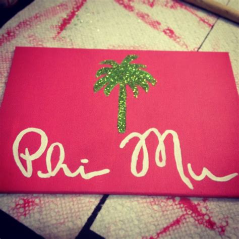 Phi Mu And Lilly Phi Mu Phi Delta Phi Epsilon