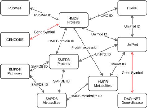 subnetwork of the bidirectional virtual relational network accessible