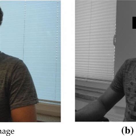 Conversion Of RGB To Greyscale Image Download Scientific Diagram