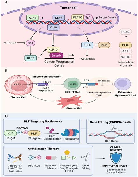 Oncology Letters