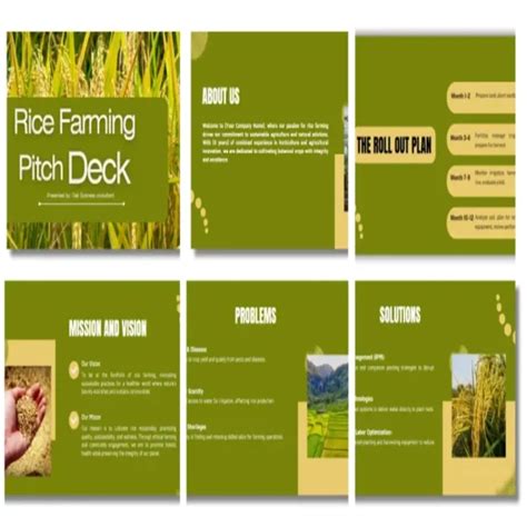 Rice Farming Pitch Deck Template Oak Business Consultant