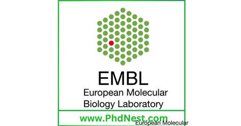 Molecular Biology Laboratory Philippines At Margaret Hensley Blog