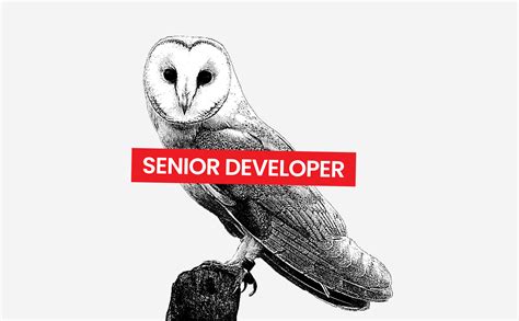 How Developer Seniority Level Matters To Software Development Cost