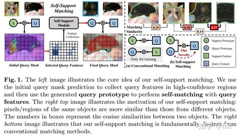 2022eccv self support few shot semantic segmentation 知乎
