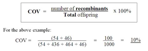 Bio 5 15 The Chromosomal Basis Of Inheritance Flashcards Quizlet