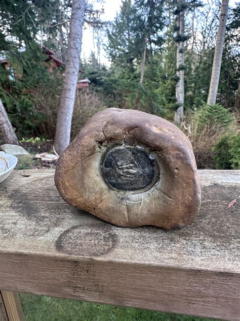 Is This A Fossilized Bone R Whatsthisrock