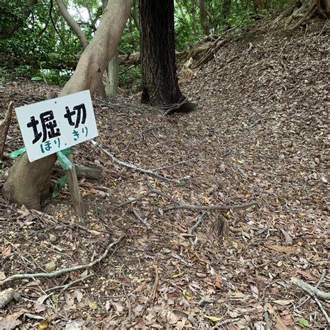 不死鳥の如く蘇る越前国 On Twitter 関ヶ原の戦いー。動かなかった毛利軍。南宮山には毛利軍だけで1万5千もいたとか。この山は人だらけやったんやろーね。疲れた 関ヶ原の戦い