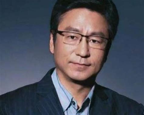 白岩松点评全红婵遭全网炮轰，央视光环也救不了他？金纳莱网