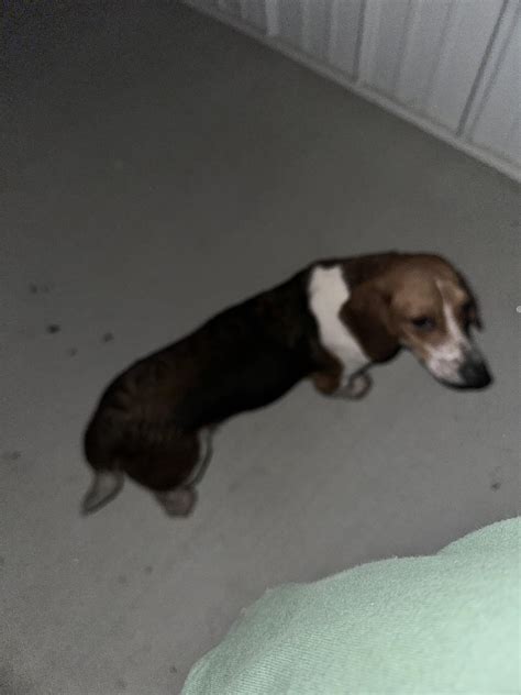 Remember Folks Pid When Hunting Is Important… R Nightvision