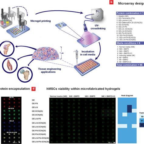 A A Robotic Microarray Spotter Was Used To Rapidly Print Droplets