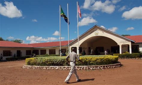 Mkurugenzi Atangaza Nafasi Za Kazi 25 Halmashauri Ya Igunga Global Publishers