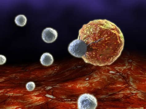 T Cell Stock Photos Royalty Free T Cell Images Depositphotos