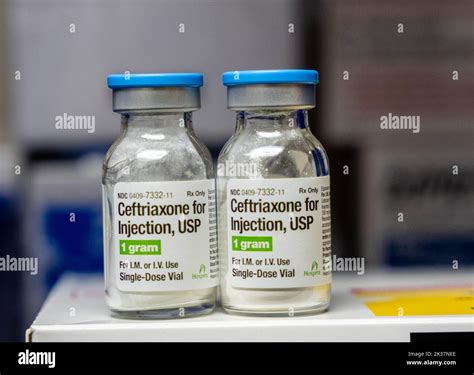 Ceftriaxone Brand Name Rocephin Antibiotics It Can Treat Infections