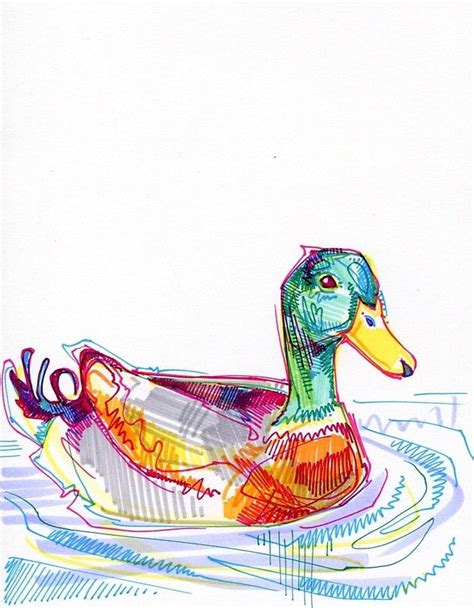 Duck Drawinf Colorful Animal Sketch Art Colorful Animal Drawing On Paper A Drawing