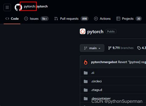 Pytorch包 Csdn博客