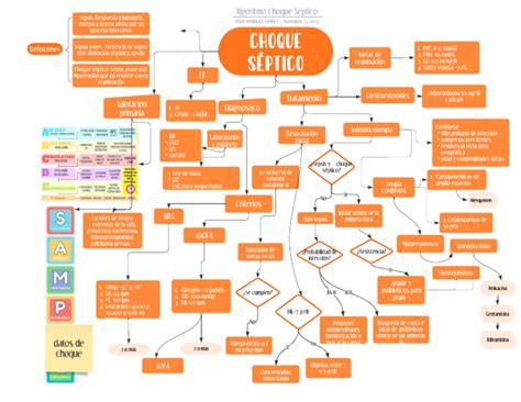 Choque Séptico Pdf Septicemia Inmunología