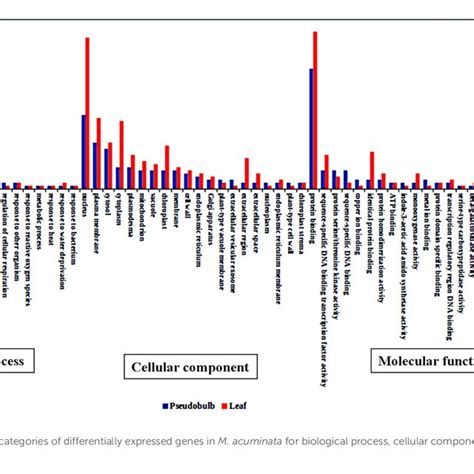 Top 15 Pathway Annotation Of Transcript In Gene Ontology Go Database