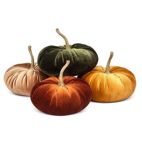 Large Velvet Pumpkin 10 Baxter Flowers And Ts