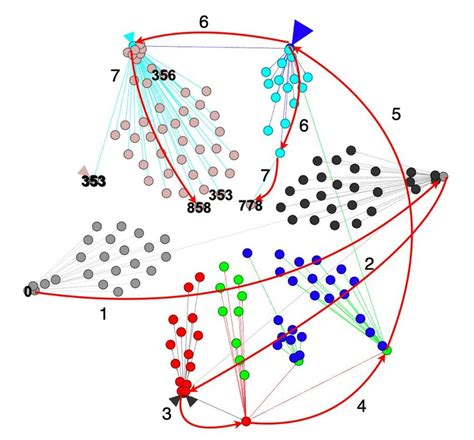 Critical Paths Of Information Signal Propagation Download Scientific
