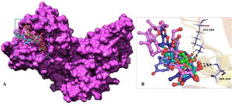 Superposition Of Experimental Tested Steroids And Identified Best Hit Download Scientific
