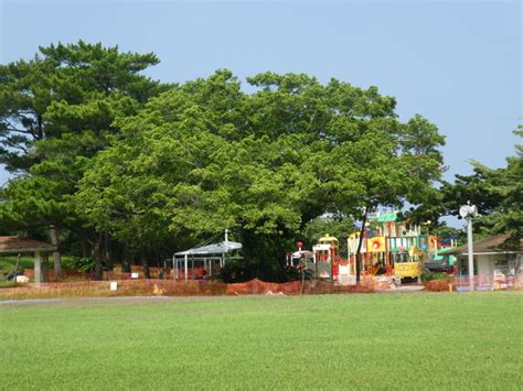 【のんびり散策】浦添大公園で散歩してみよう 憩いの広場ゾーン うらそえナビ