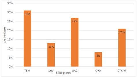 Plate Showing Esbl Detection By Double Disk Synergy On Mueller Hinton Agar Download Scientific