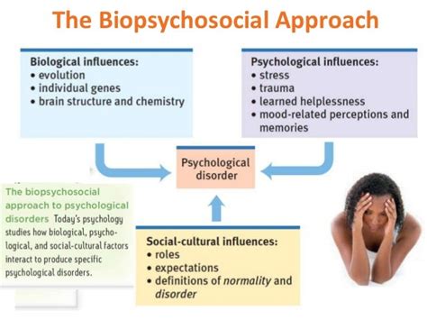 Psy 150 403 Chapter 14 Slides