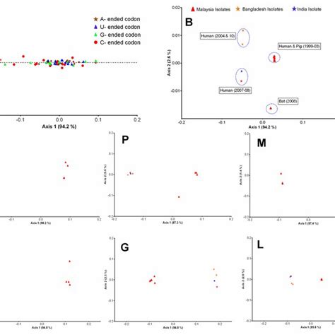 Differential Codon Bias On The Coding Sequences Of Henipaviruses The Download Scientific