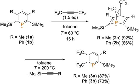 Triple Dehydrofluorination As A Route To Amidine Functionalized