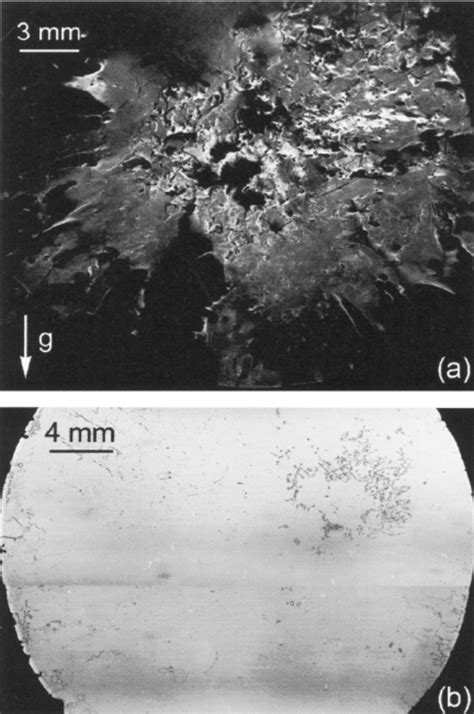 ͑ A ͒ X Ray Diffraction Topograph Of A Slice Cut Close To The Seed