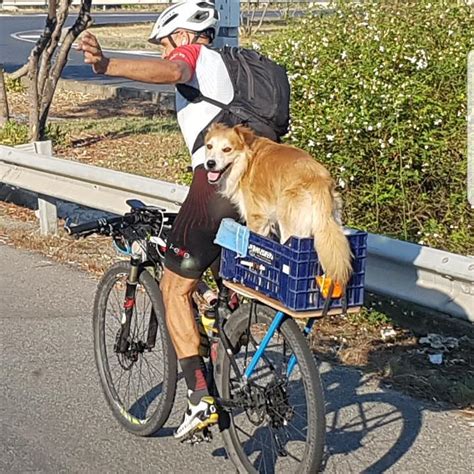 Domenico Antonio Macrì Fan Club Siderno