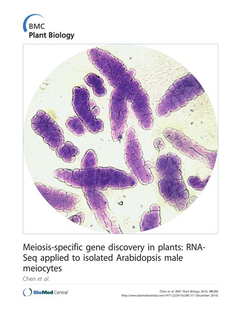 Pdf Meiosis Specific Gene Discovery In Plants Rna Seq Applied To