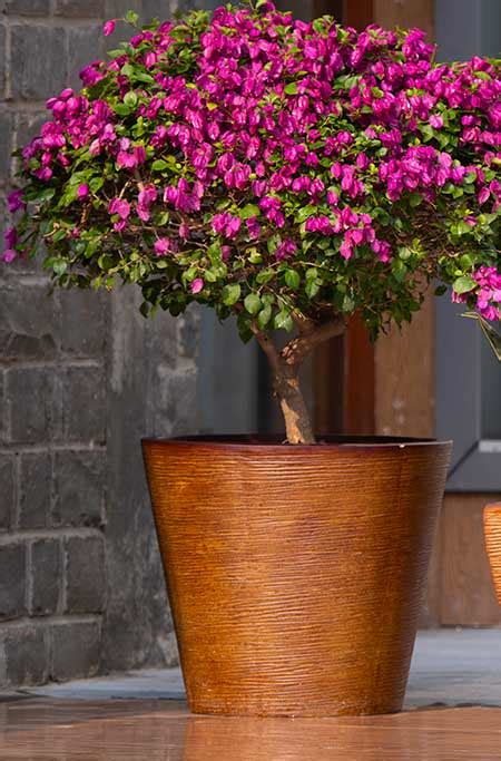 Ringstone Round Planters The Perfect Addition To Your Garden