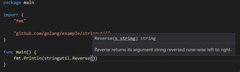 Settling On Vscode For Go ·