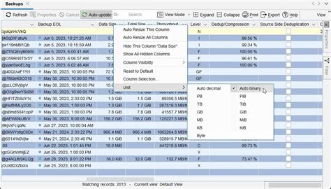 5 1 0 Customizing GUI SEPsesam
