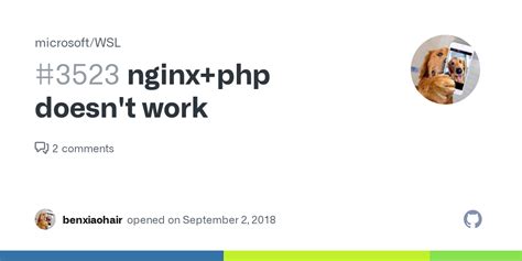 Nginx Php Doesn T Work Issue Microsoft WSL GitHub