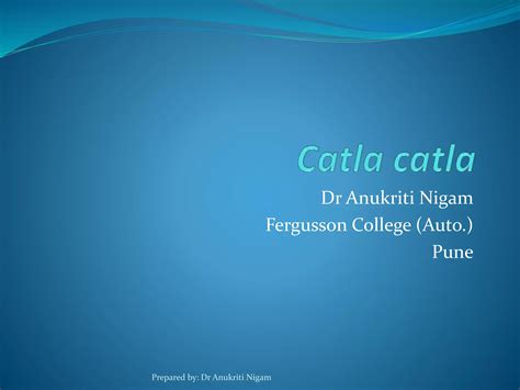 Introduction To Catla Catla Pptx