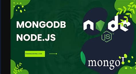 Build A Scalable Backend With Node Js And Mongoose By Jaminurislam2
