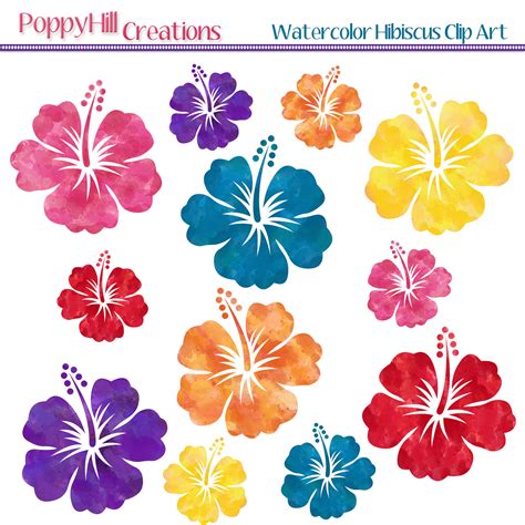 Clip Art Hibiscus Flower At Martha Watkins Blog